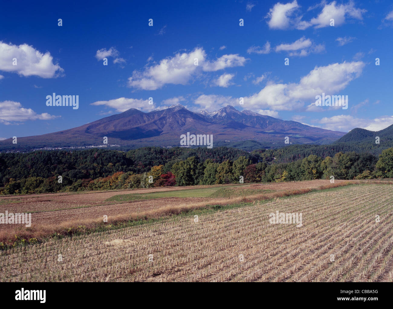 Yatsugatake Mountains and Field, Hokuto, Yamanashi, Japan Stock Photo ...