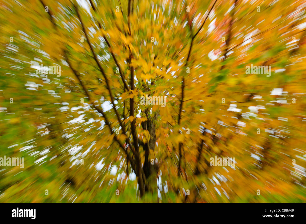 Abstract photography zoom hi-res stock photography and images - Alamy