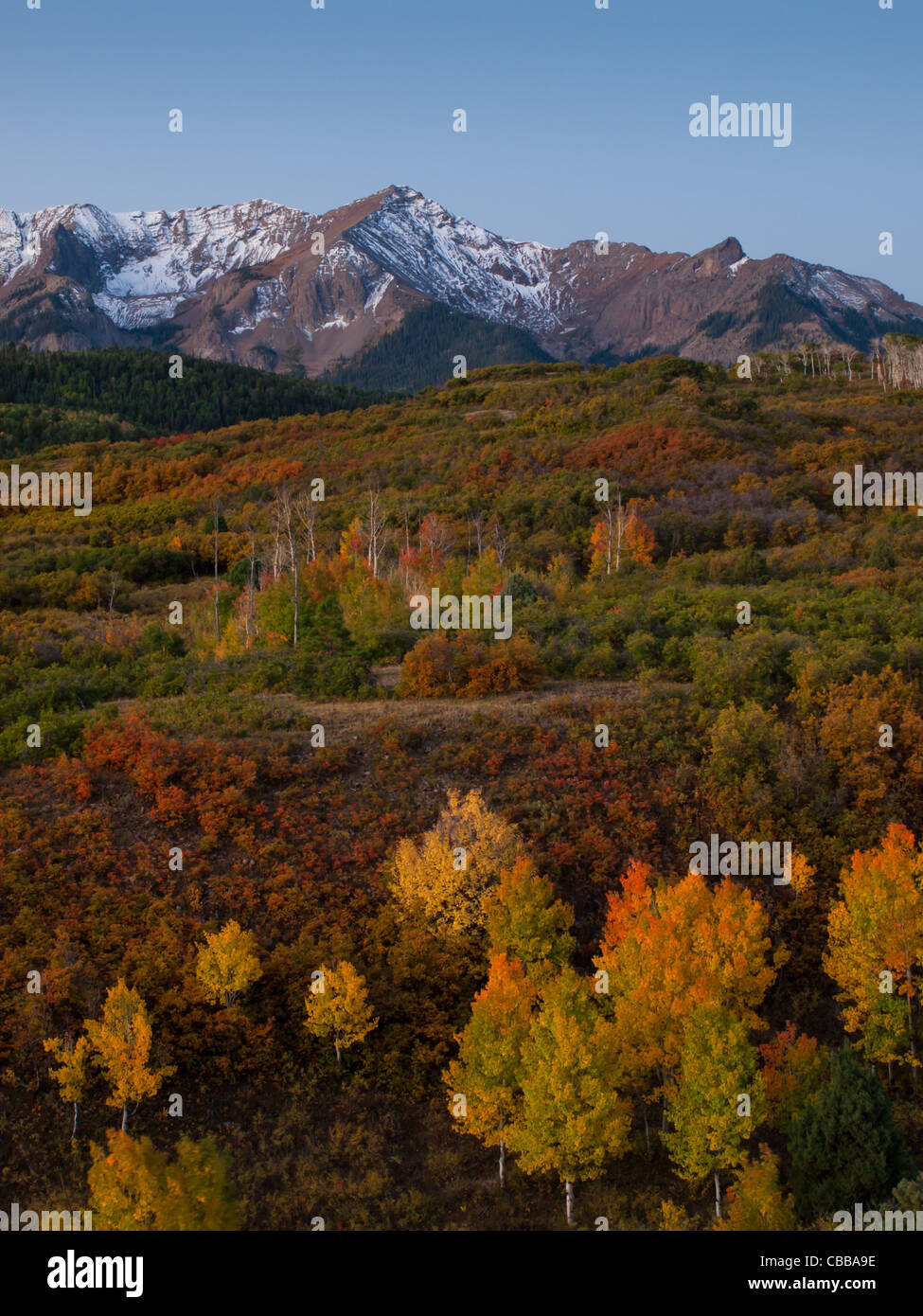 The Dallas Divide is a Colorado icon, well known for its vivid fall ...