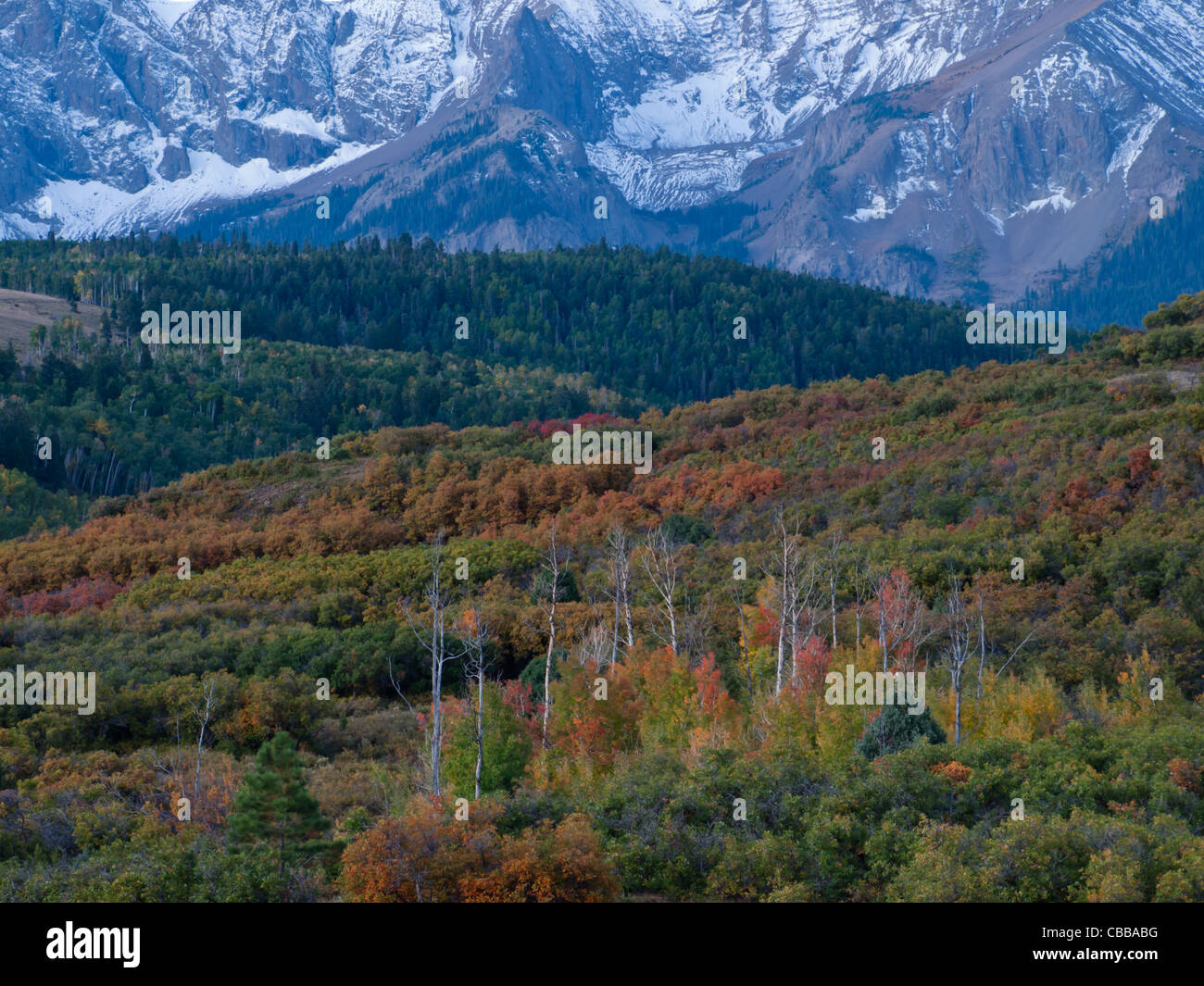 The Dallas Divide is a Colorado icon, well known for its vivid fall ...
