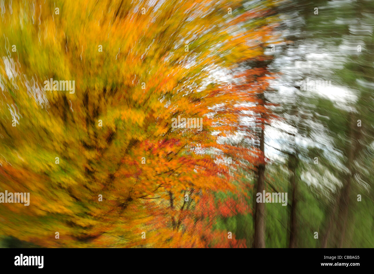 Autumn in abstract Stock Photo - Alamy
