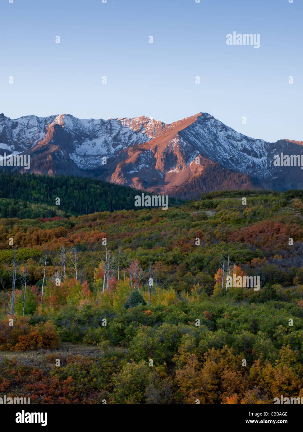 The Dallas Divide is a Colorado icon, well known for its vivid fall ...