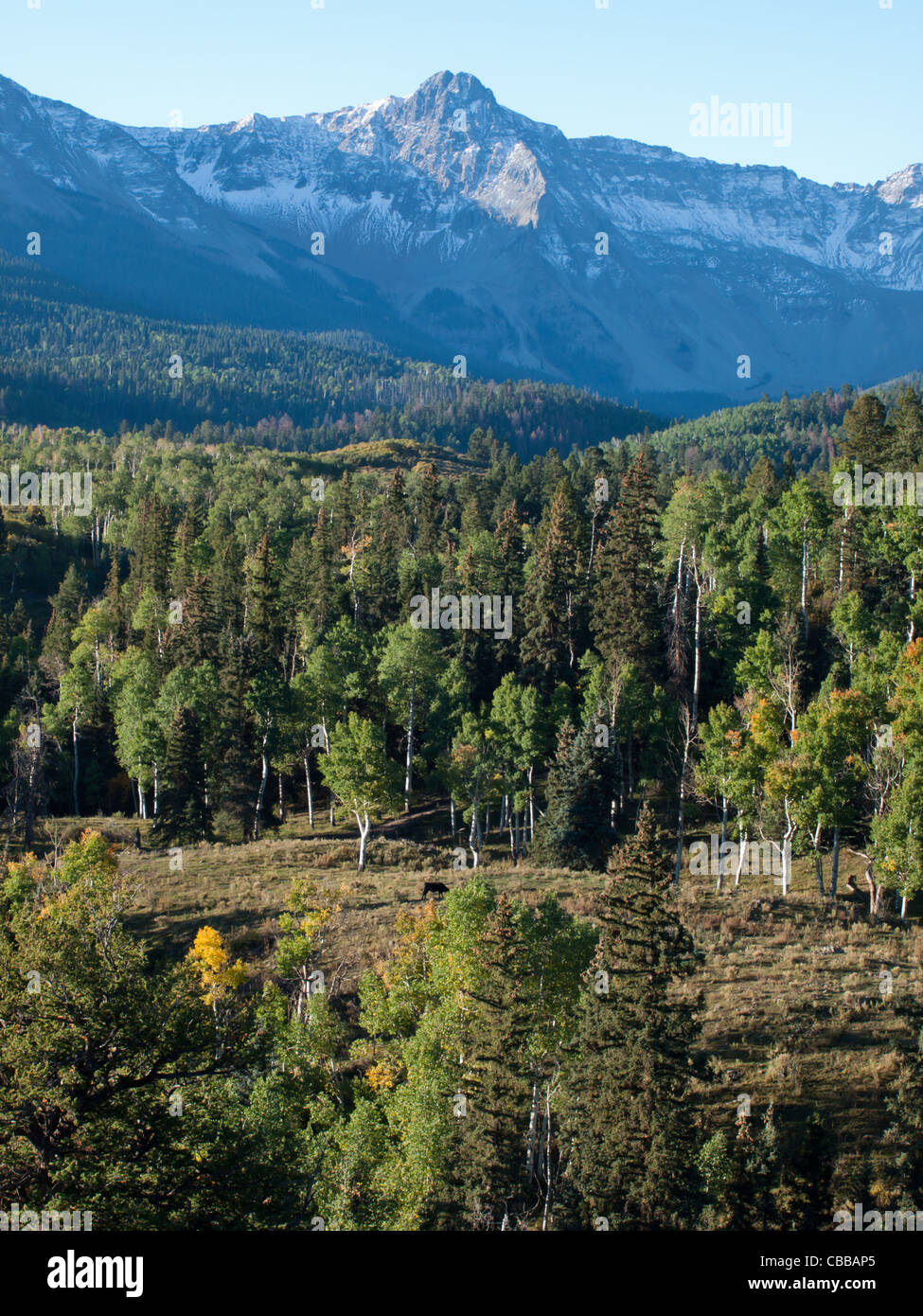 The Dallas Divide is a Colorado icon, well known for its vivid fall ...