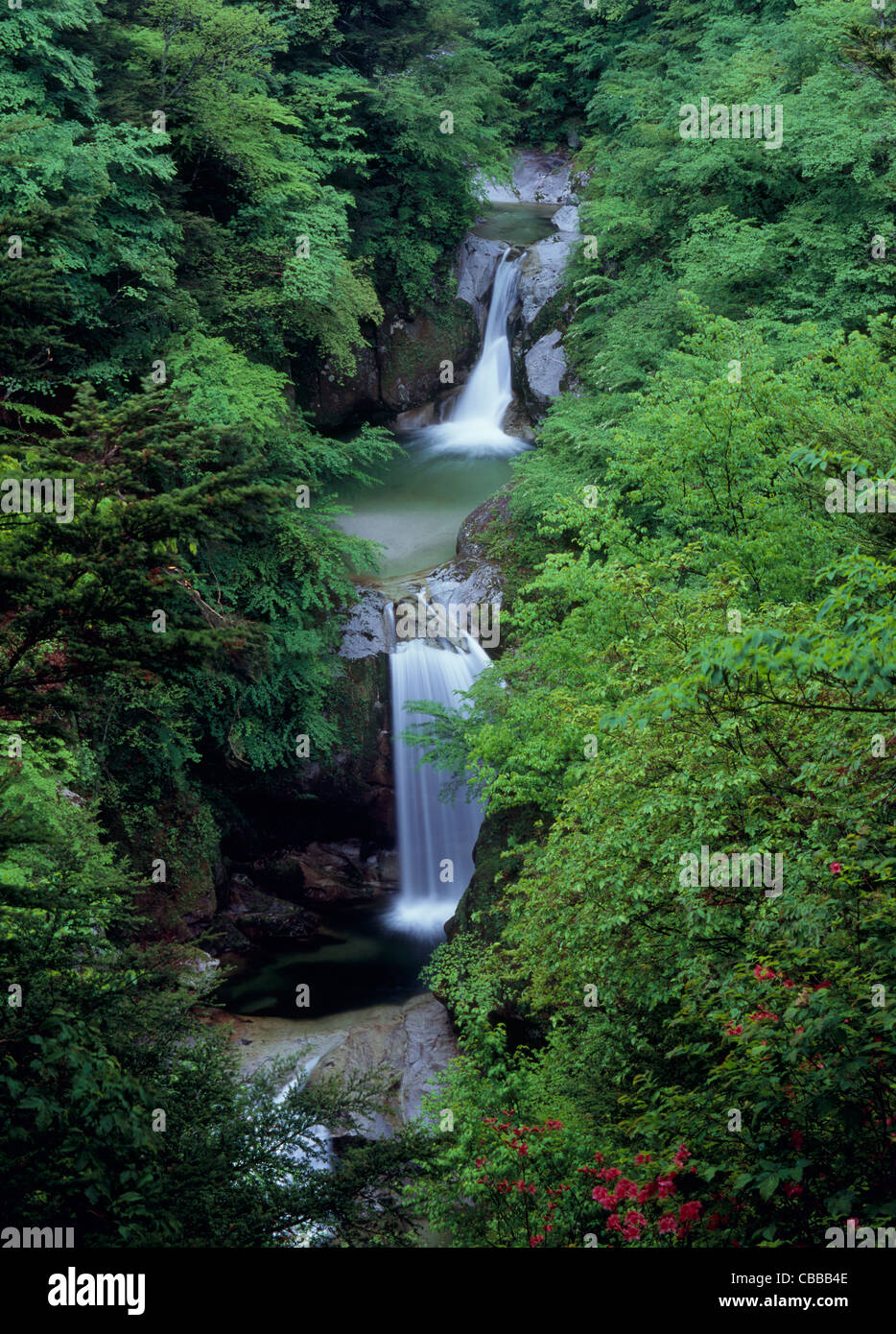 Jinja Waterfall High Resolution Stock Photography and Images - Alamy