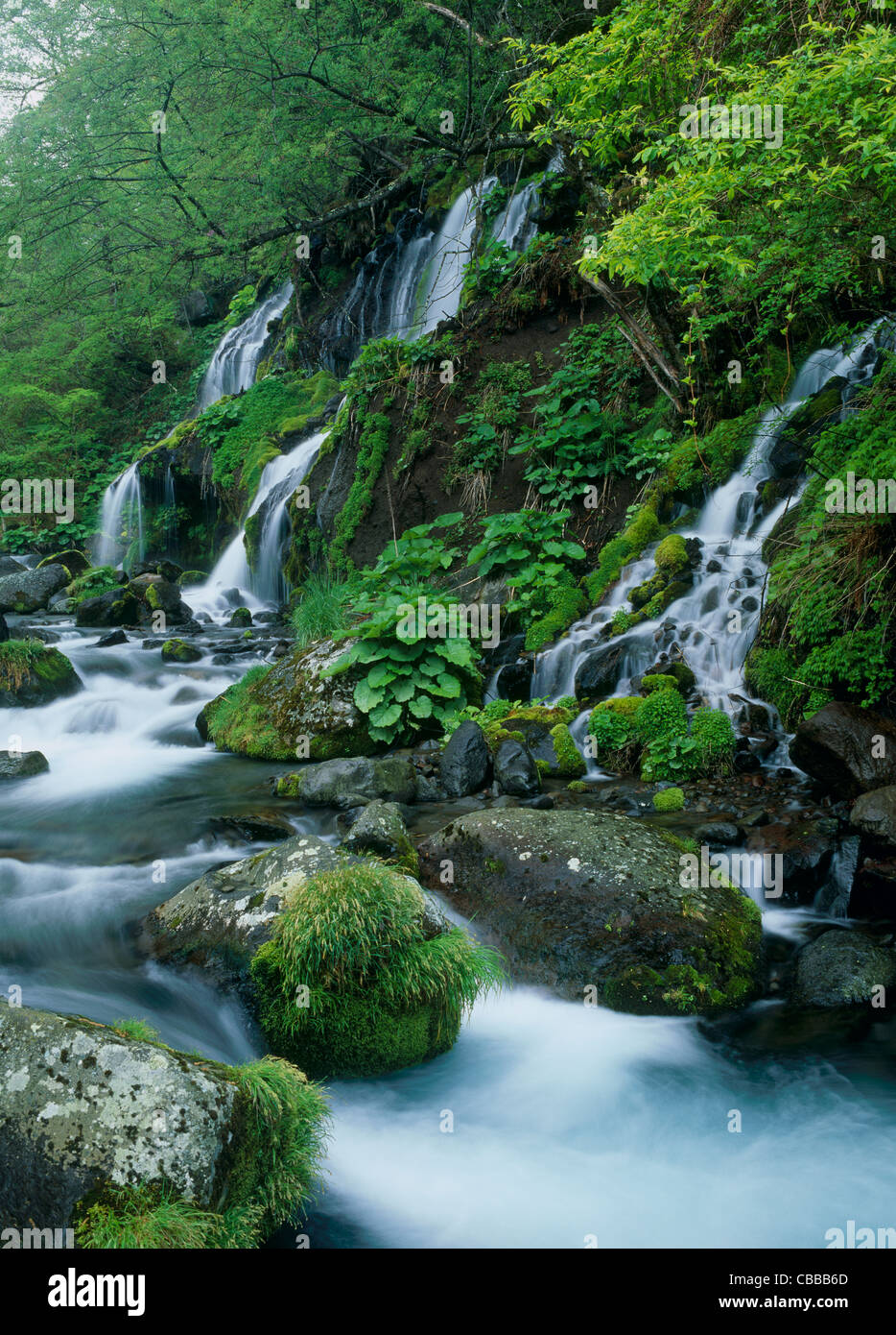 Doryu Waterfall and Kawamata Higashizawa Valley, Hokuto, Yamanashi ...