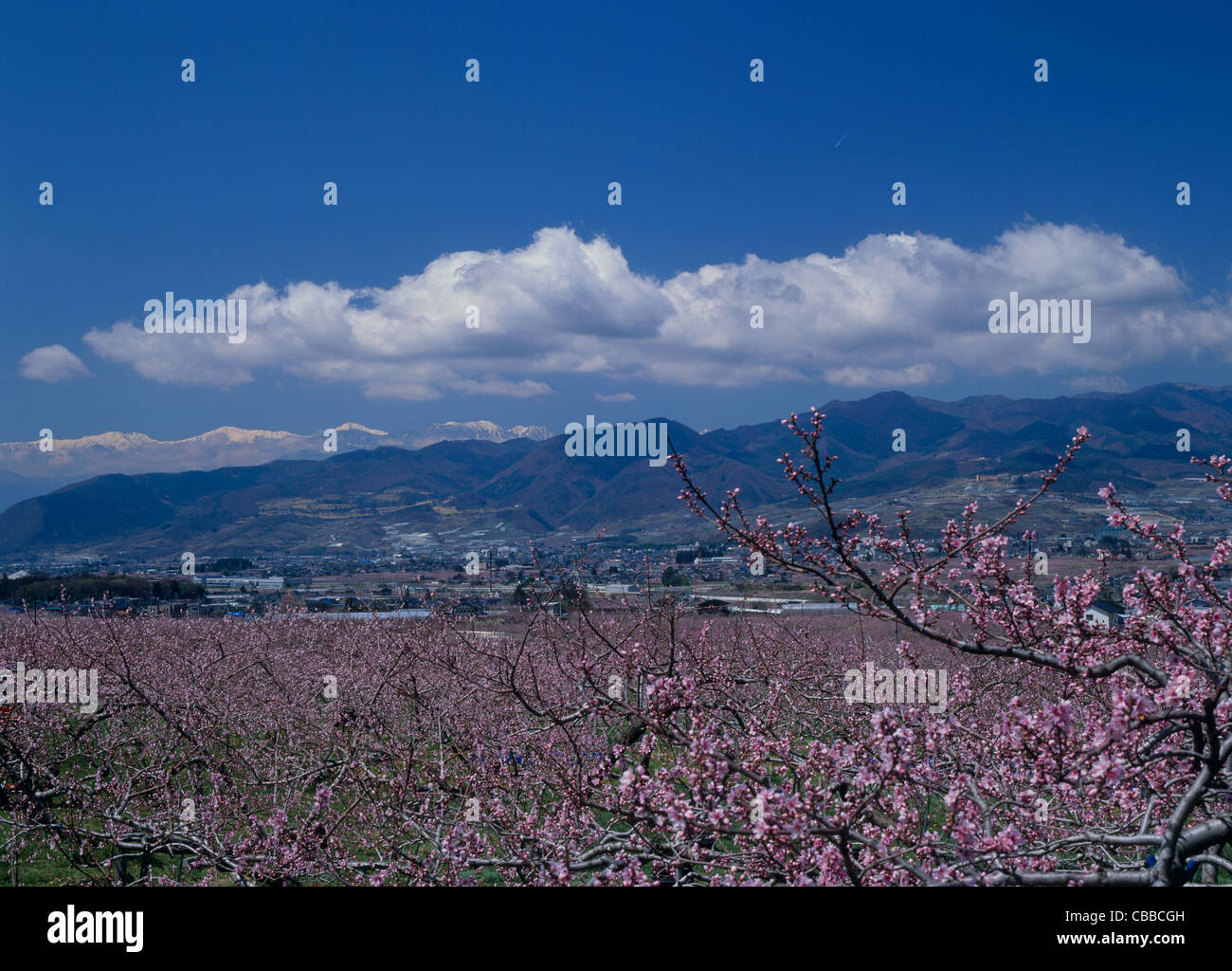 Minami alps hi-res stock photography and images - Alamy