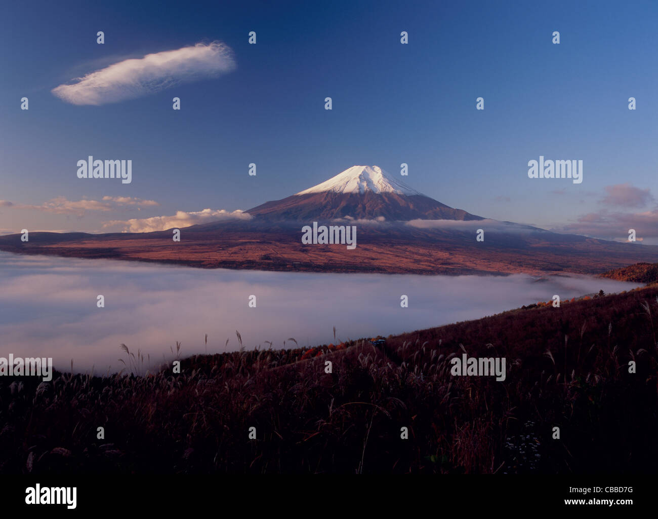 Japan mountain mist hi-res stock photography and images - Alamy