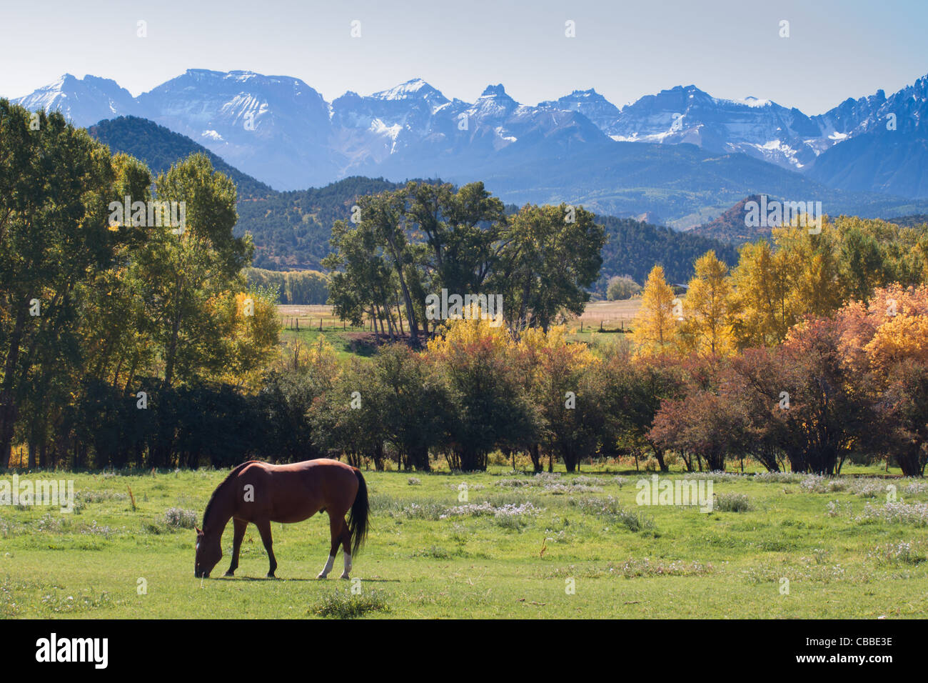 Horse pasture at the Double RL Ranch with a view of the Dallas Divide ...