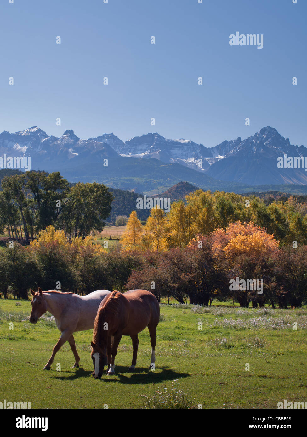 Horse pasture at the Double RL Ranch with a view of the Dallas Divide ...