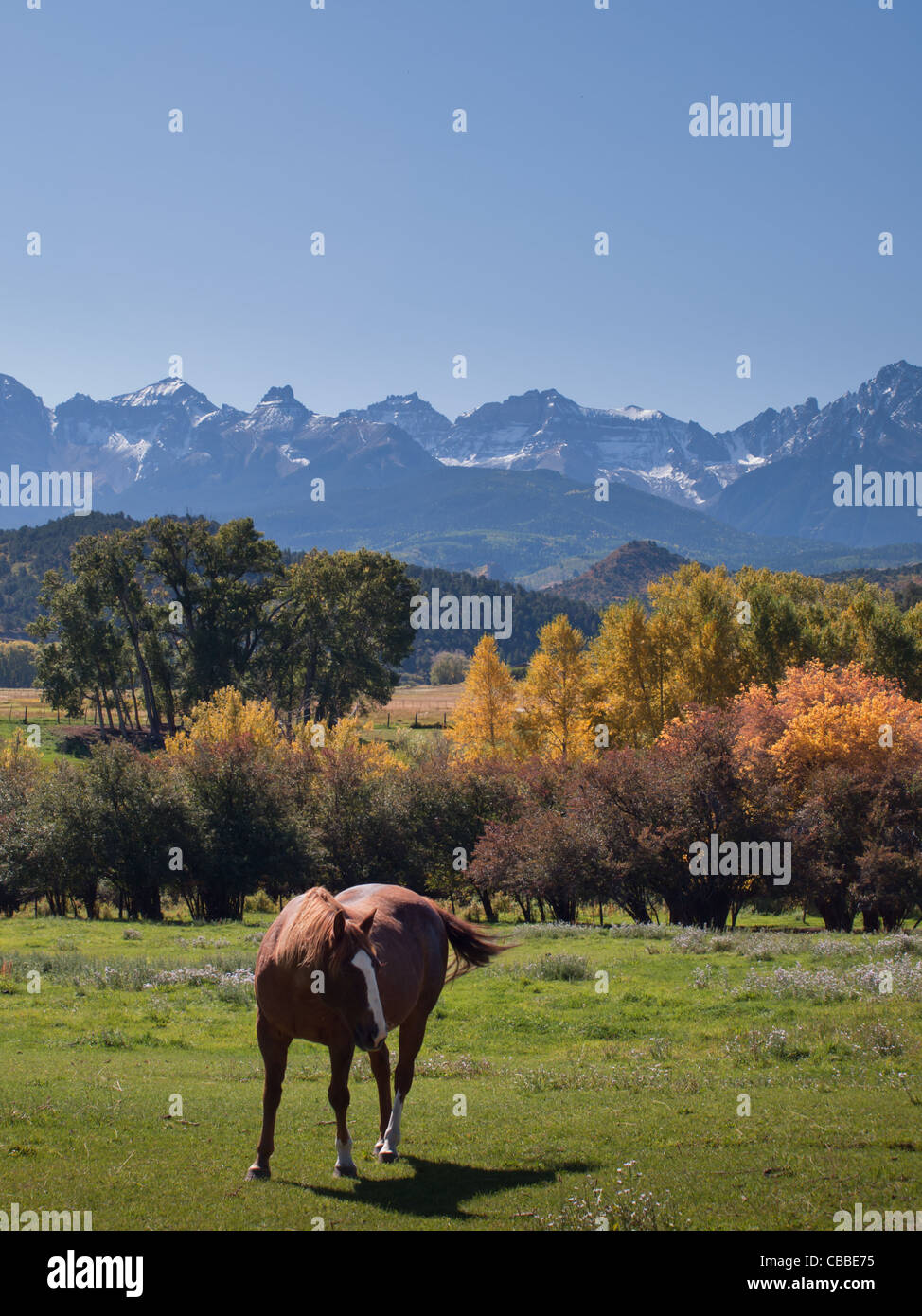Horse pasture at the Double RL Ranch with a view of the Dallas Divide ...