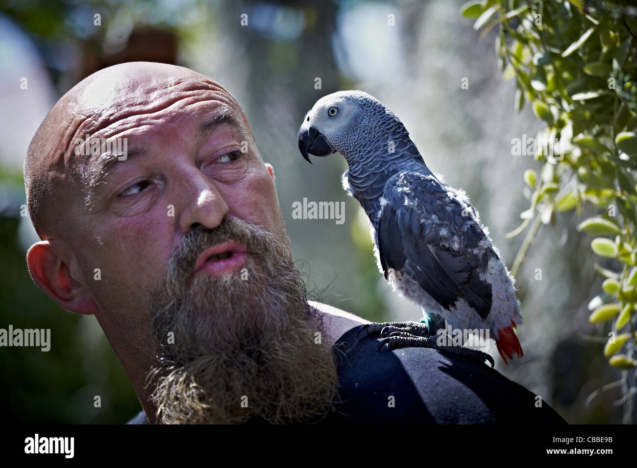 Parrot owner hi-res stock photography and images - Alamy
