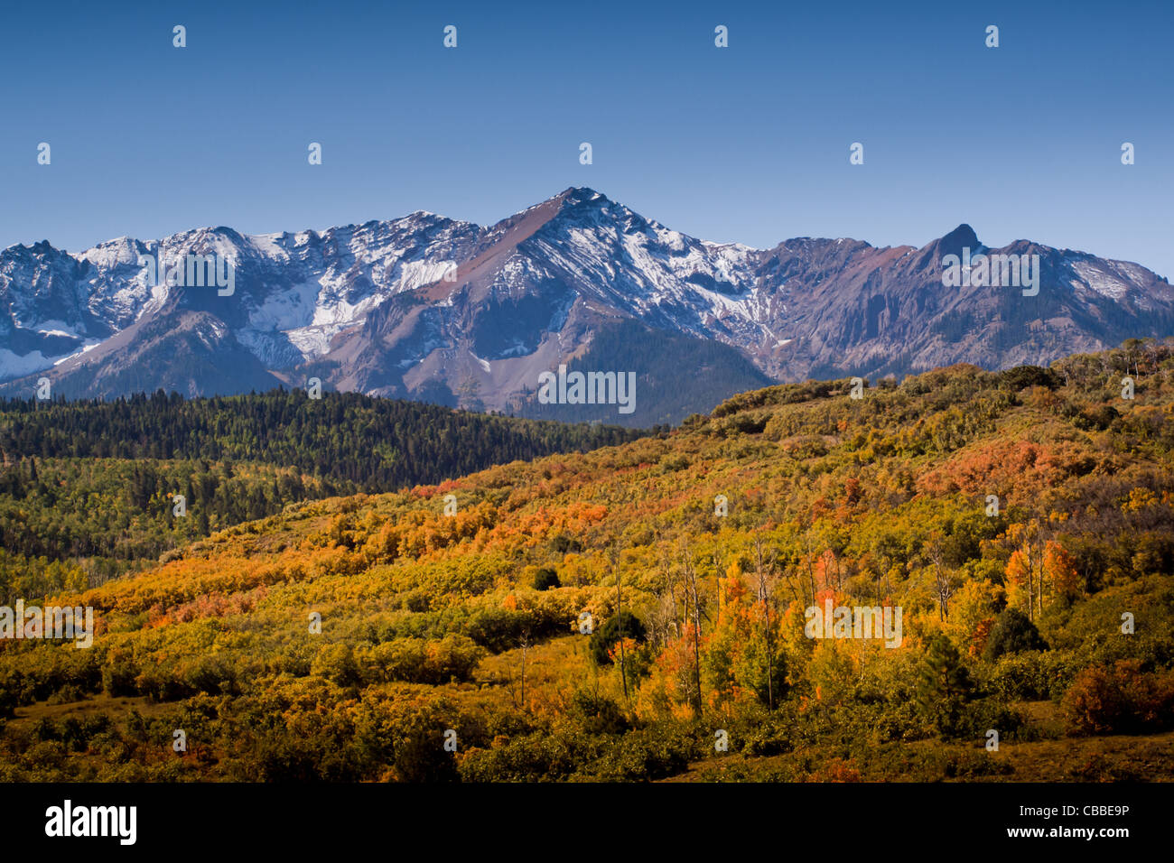 The Dallas Divide is a Colorado icon, well known for its vivid fall ...