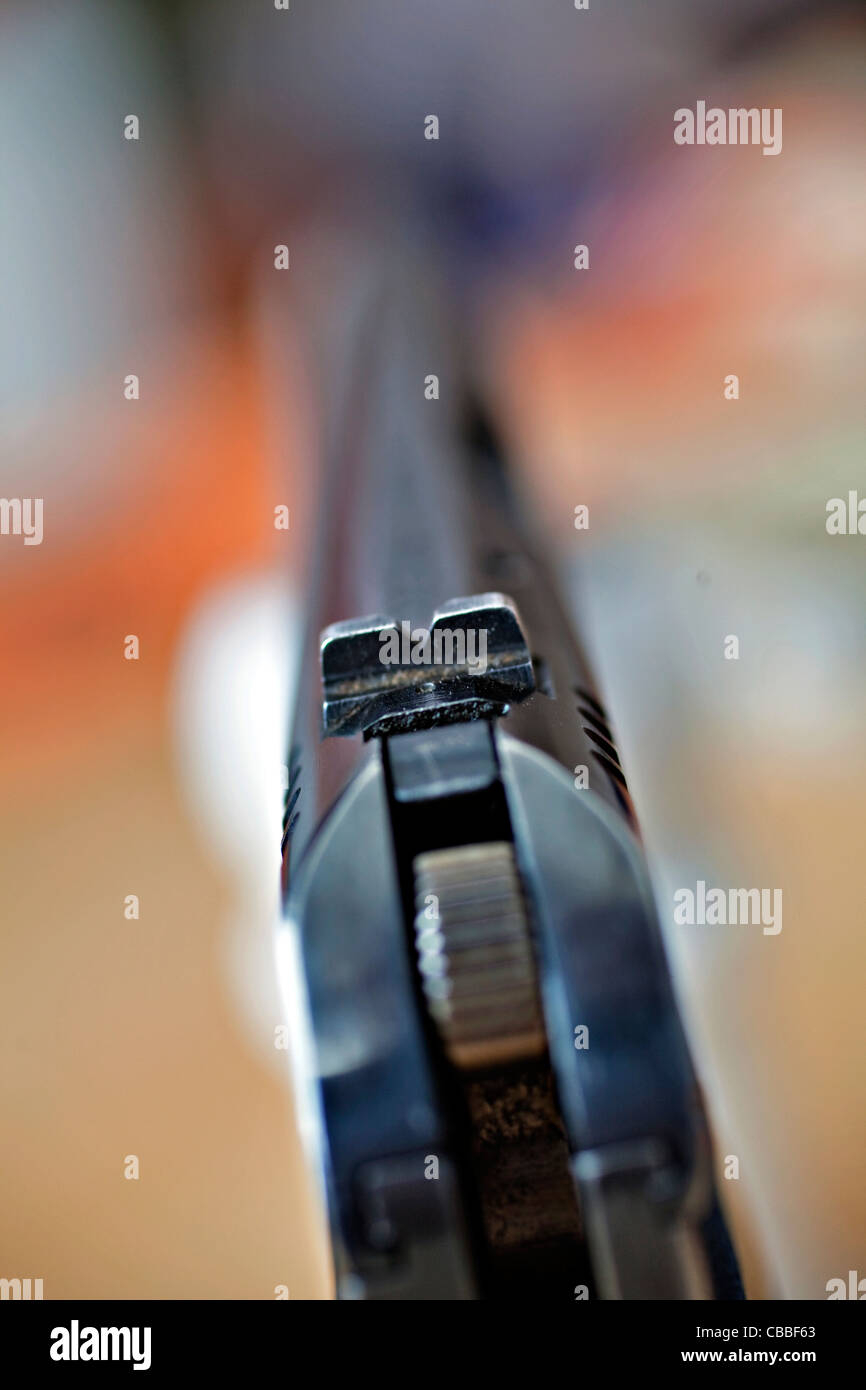 Gun, pistol, caliber, calibre, gauge 7,65, muzzle. (CTK Photo/Josef ...