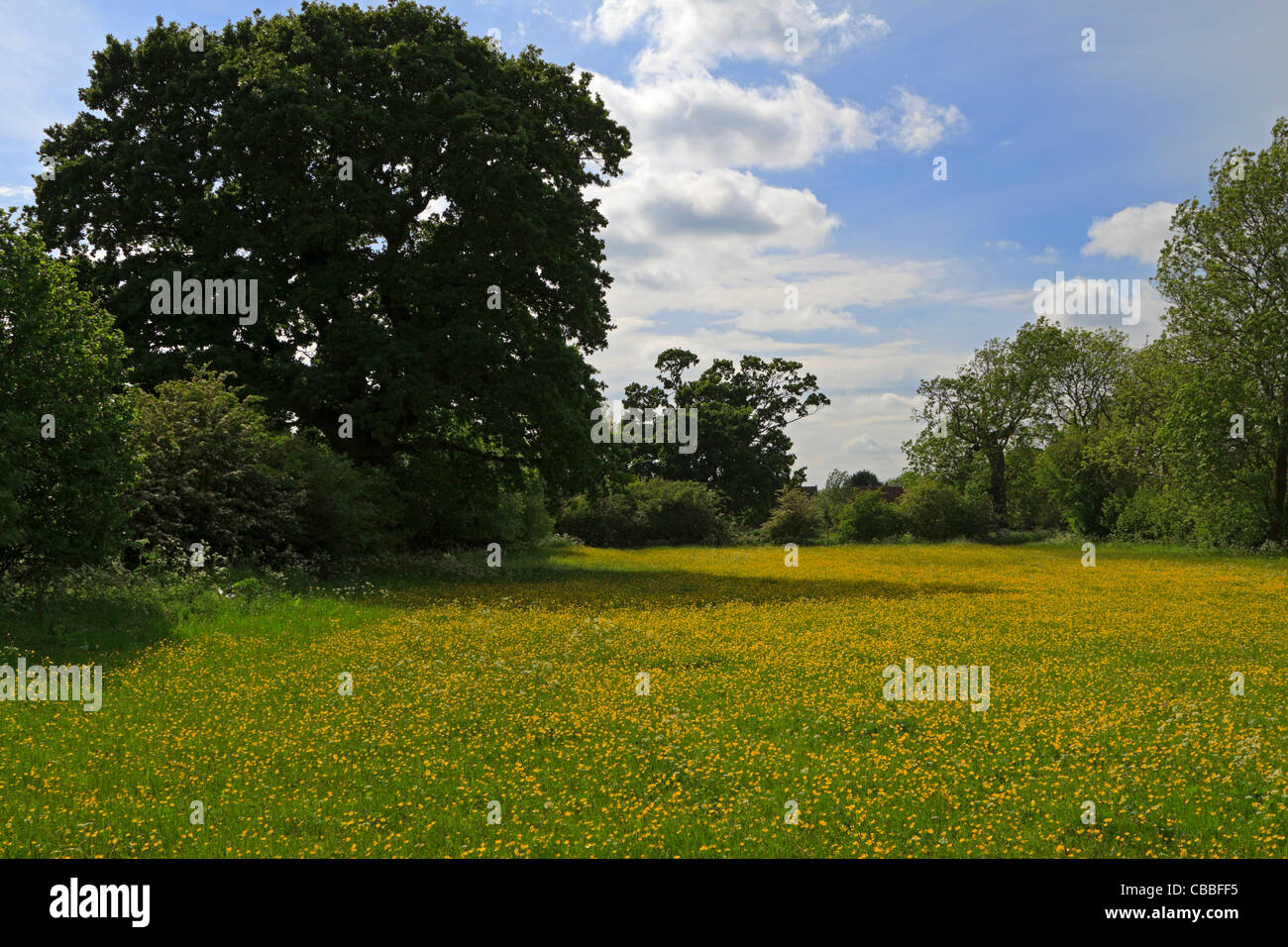 Egleton hi-res stock photography and images - Alamy