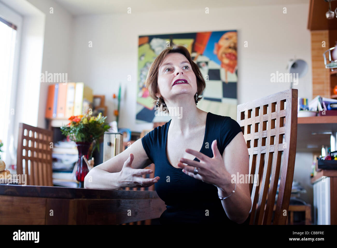 Czech novelist radka denemarkova first hi-res stock photography and ...