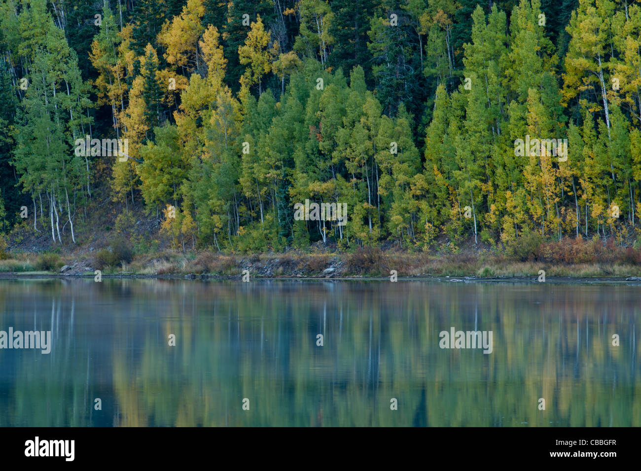 Crystal Lake in autumn near Ouray, Colorado Stock Photo - Alamy