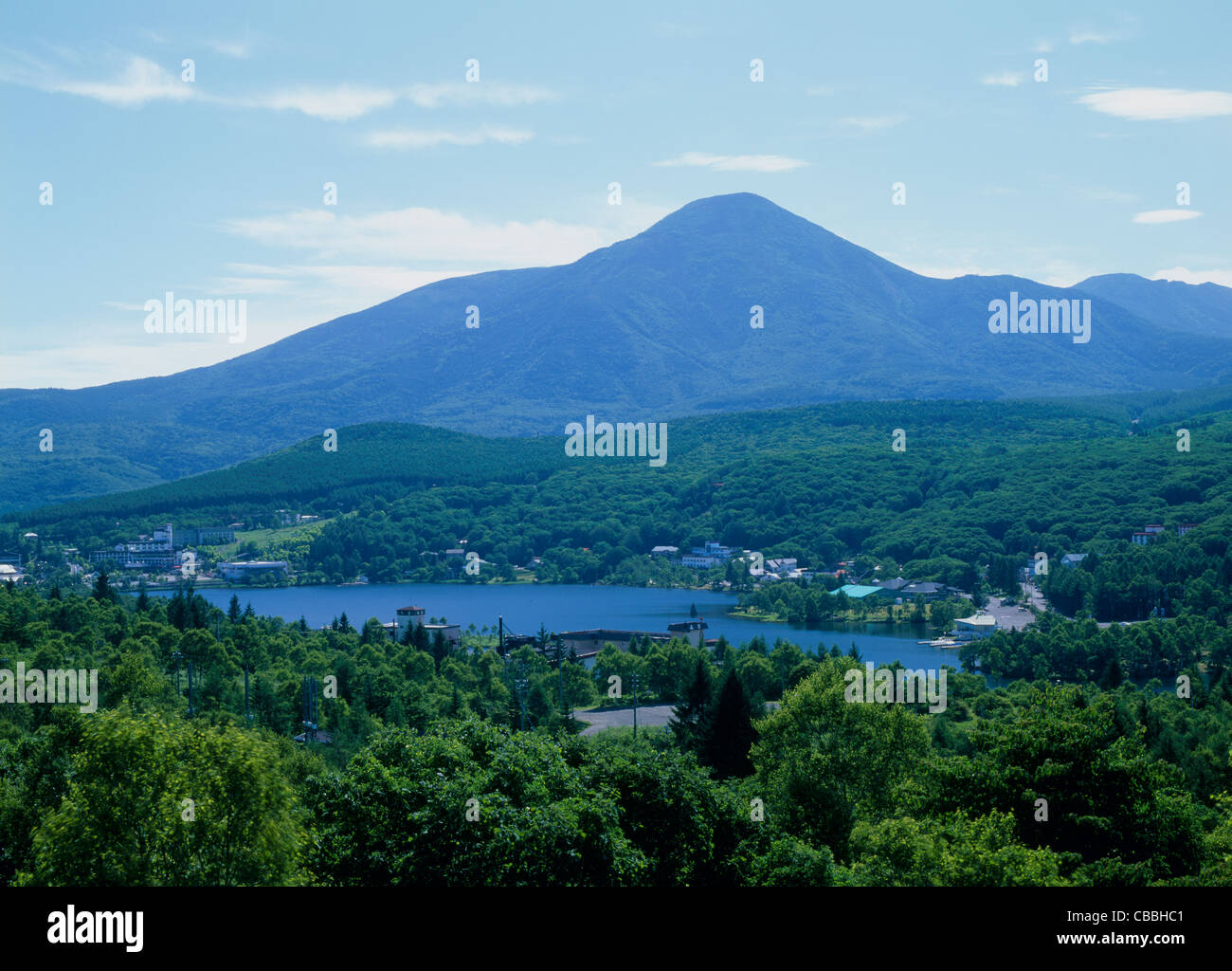 Shirakaba hi-res stock photography and images - Alamy