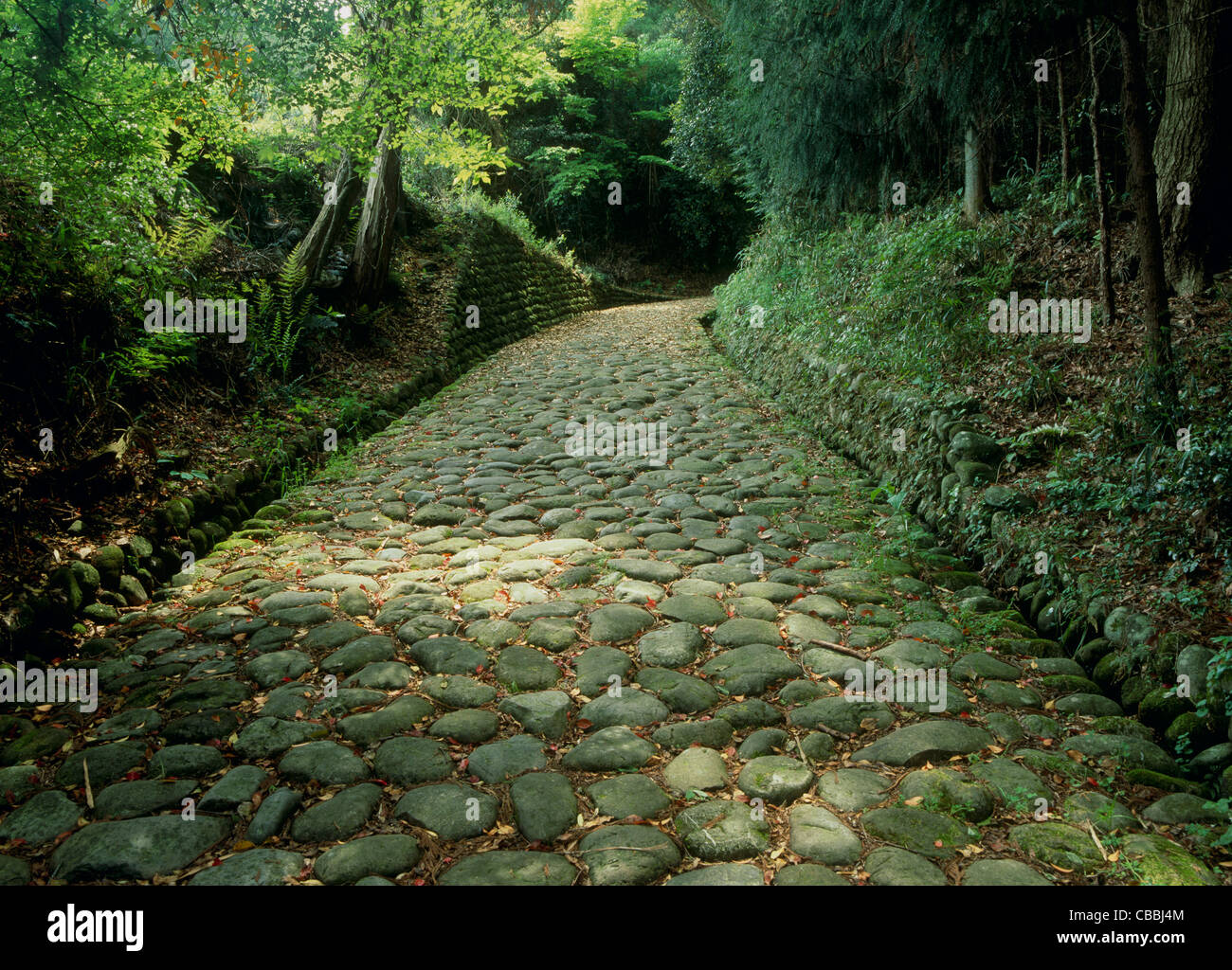 Kanayasaka Stone Pavement, Shimada, Shizuoka, Japan Stock Photo - Alamy