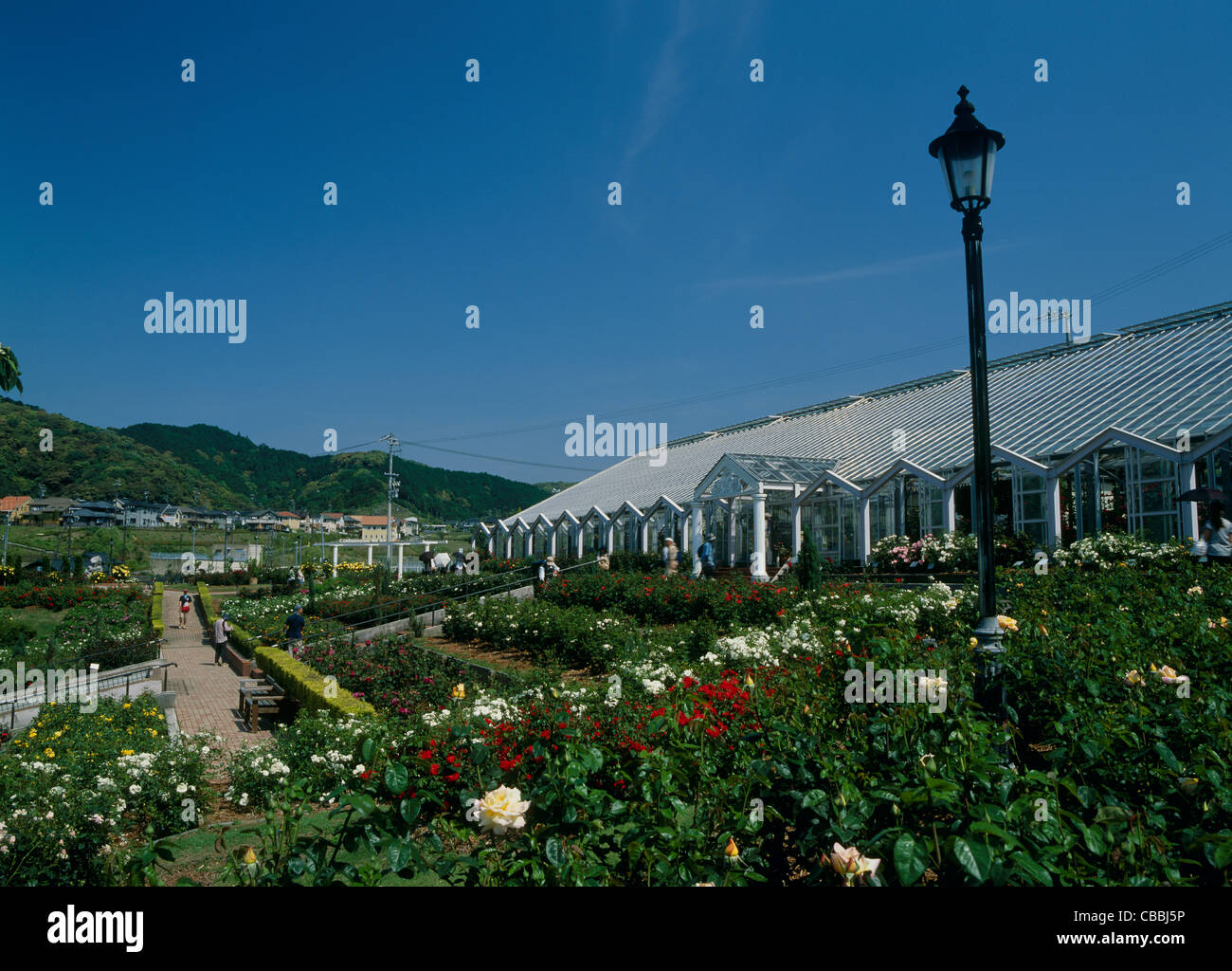 Bara no oka park hi-res stock photography and images - Alamy