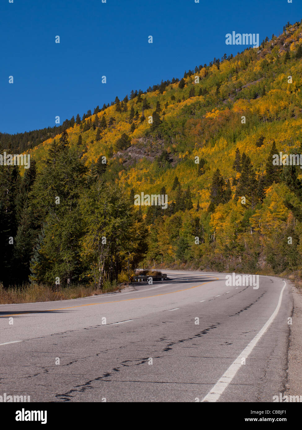 Brilliant fall colors adorn a country road in Colorado Stock Photo - Alamy