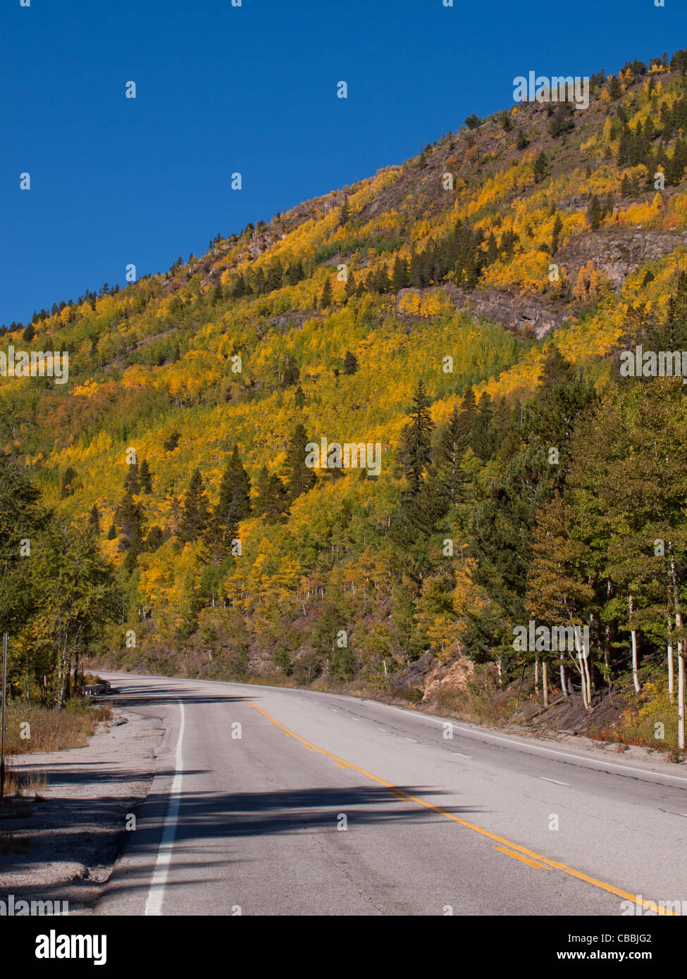 Brilliant fall colors adorn a country road in Colorado Stock Photo - Alamy