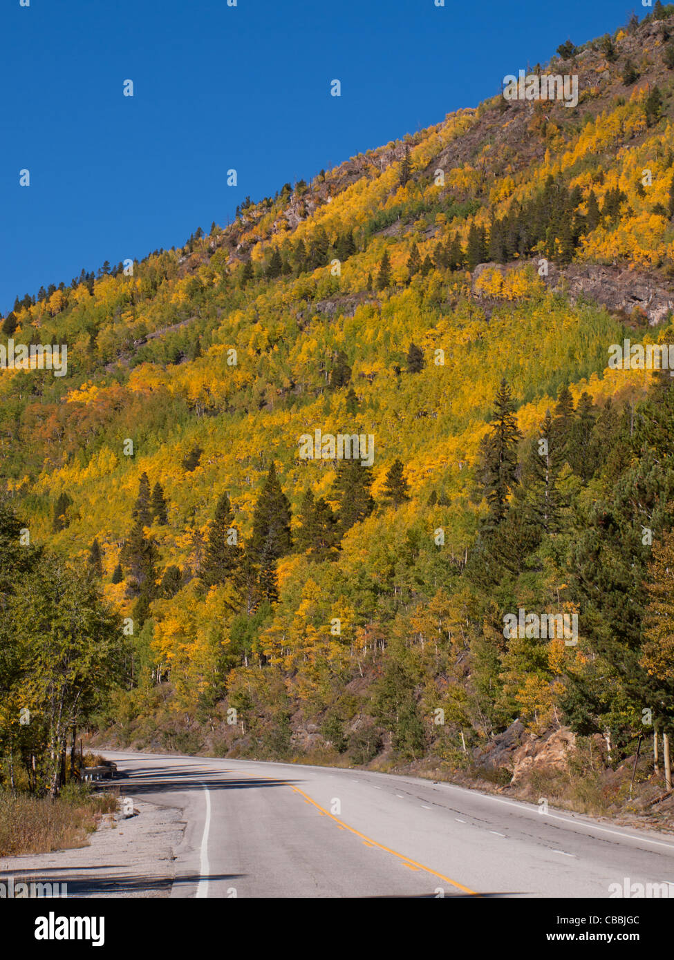 Brilliant fall colors adorn a country road in Colorado Stock Photo - Alamy