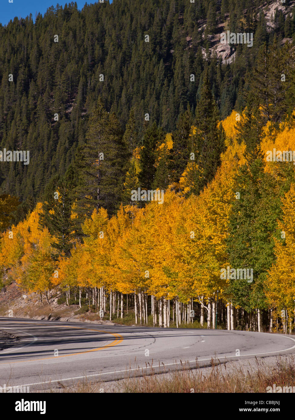 Brilliant fall colors adorn a country road in Colorado Stock Photo - Alamy