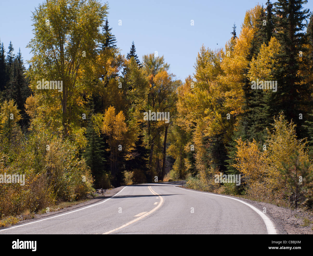 Brilliant fall colors adorn a country road in Colorado Stock Photo - Alamy