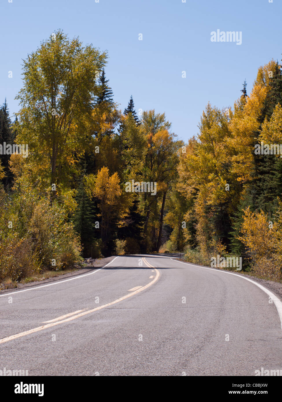 Brilliant fall colors adorn a country road in Colorado Stock Photo - Alamy
