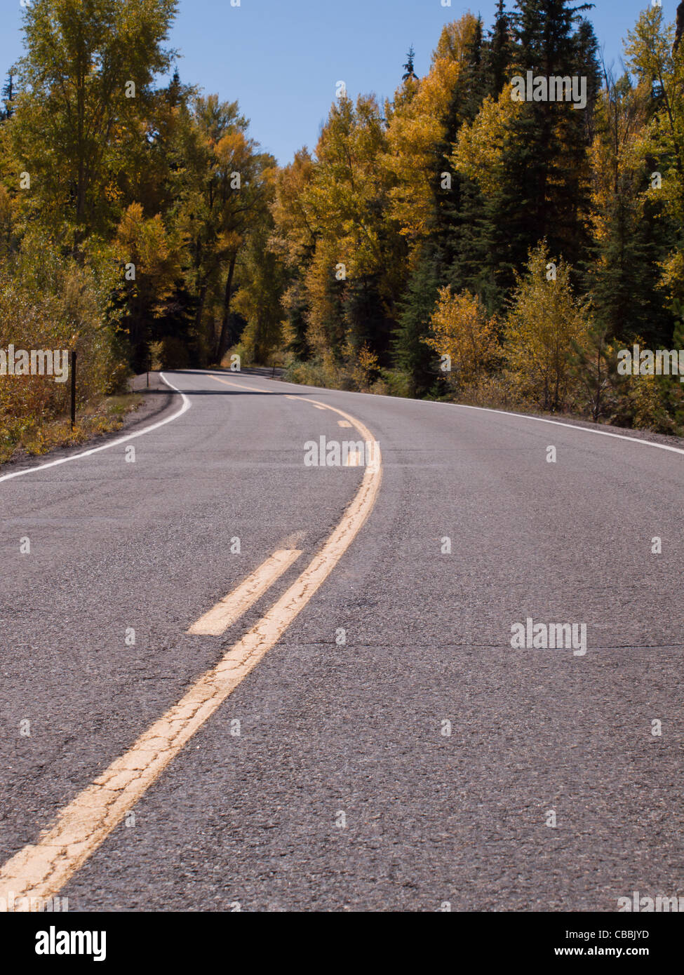 Brilliant fall colors adorn a country road in Colorado Stock Photo - Alamy