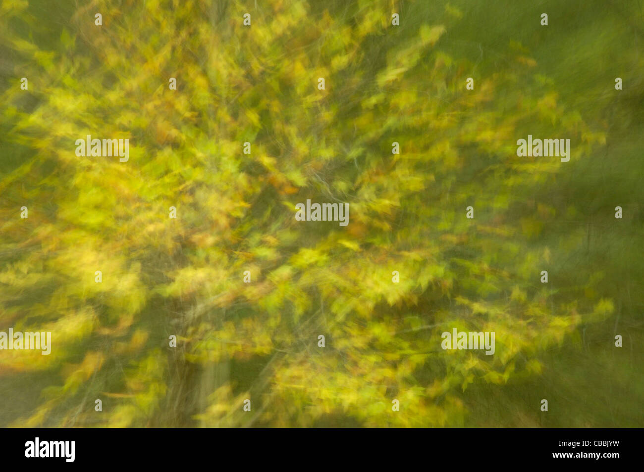 Autumn abstract hi-res stock photography and images - Alamy