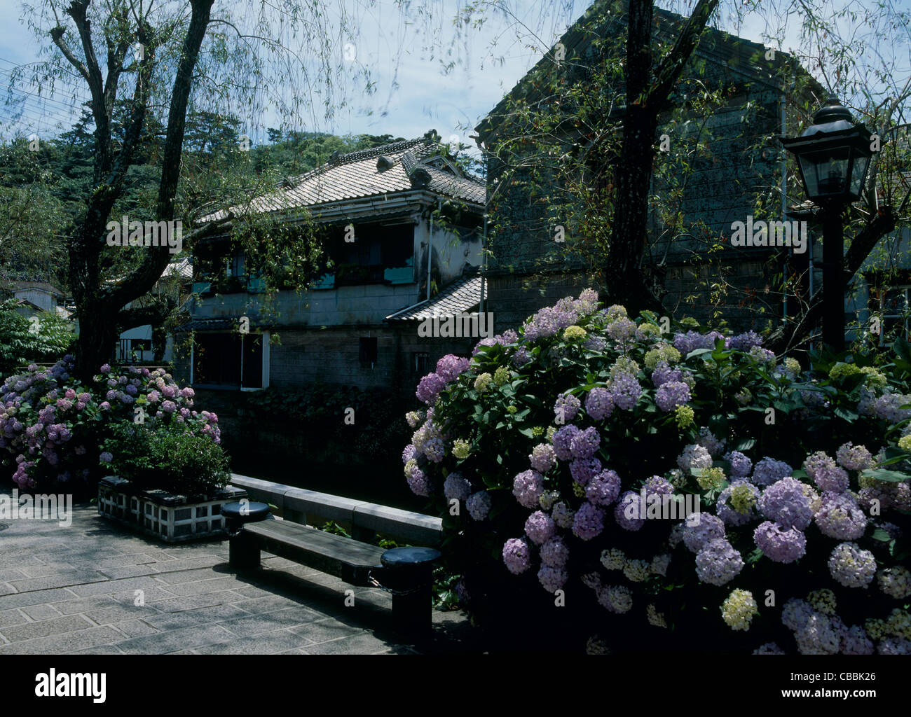 Perry Road and Hydrangea, Shimoda, Shizuoka, Japan Stock Photo - Alamy