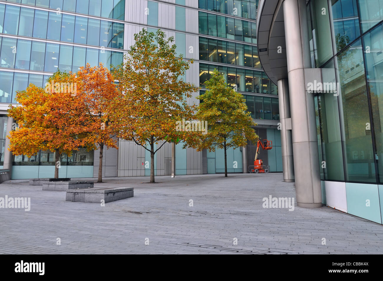 London: autumn trees against a background of office buildings Stock ...