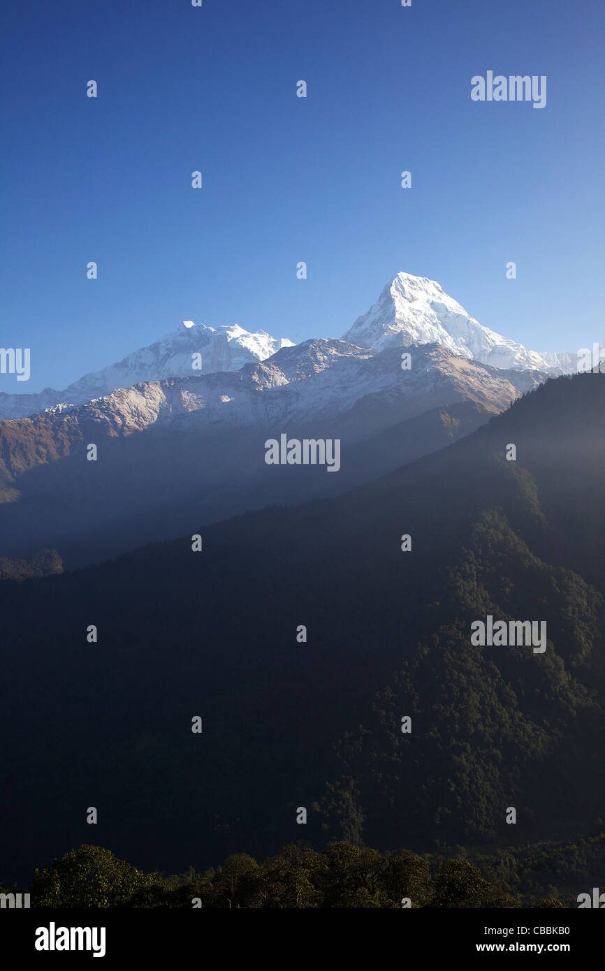 View of Annapurna South from Tadapani, Annapurna Region, Himalayas ...