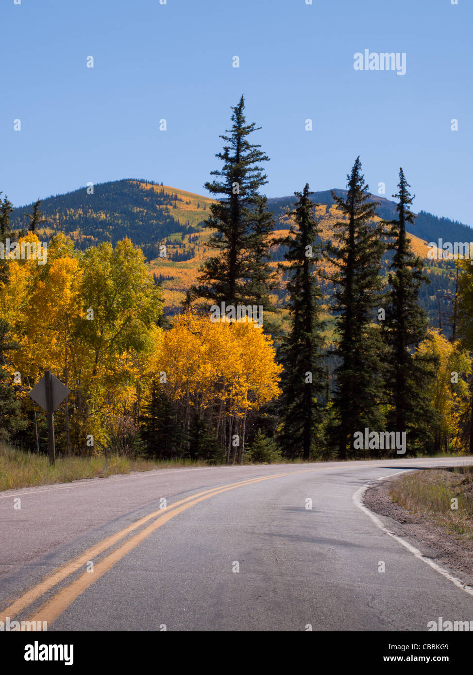 Brilliant fall colors adorn a country road in Colorado Stock Photo - Alamy