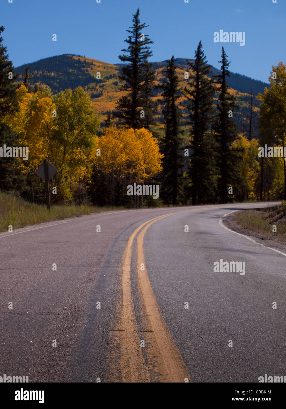 Brilliant fall colors adorn a country road in Colorado Stock Photo - Alamy