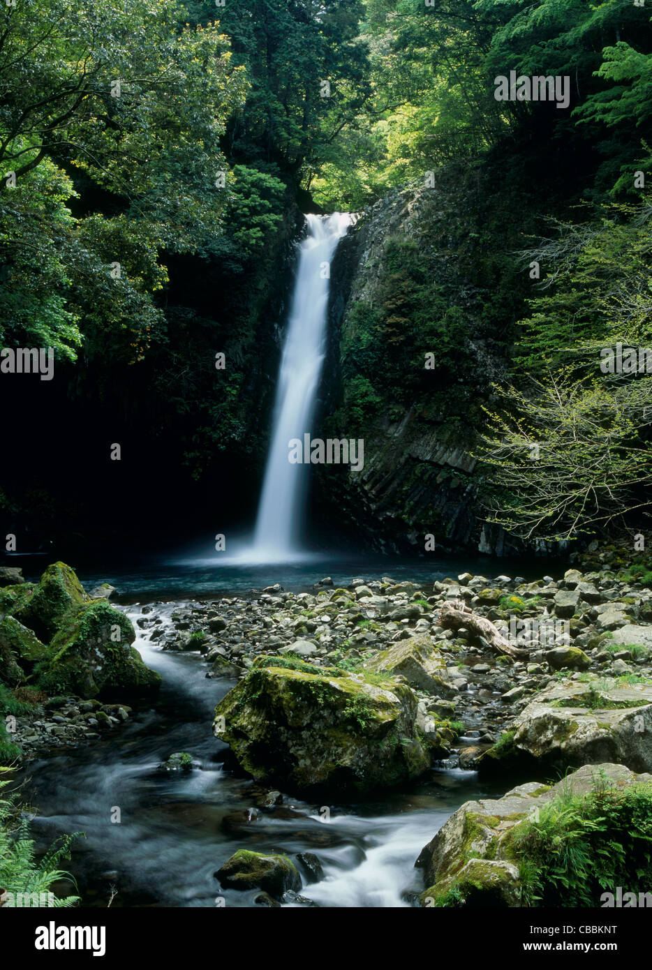 Joren Waterfall, Izu, Shizuoka, Japan Stock Photo - Alamy
