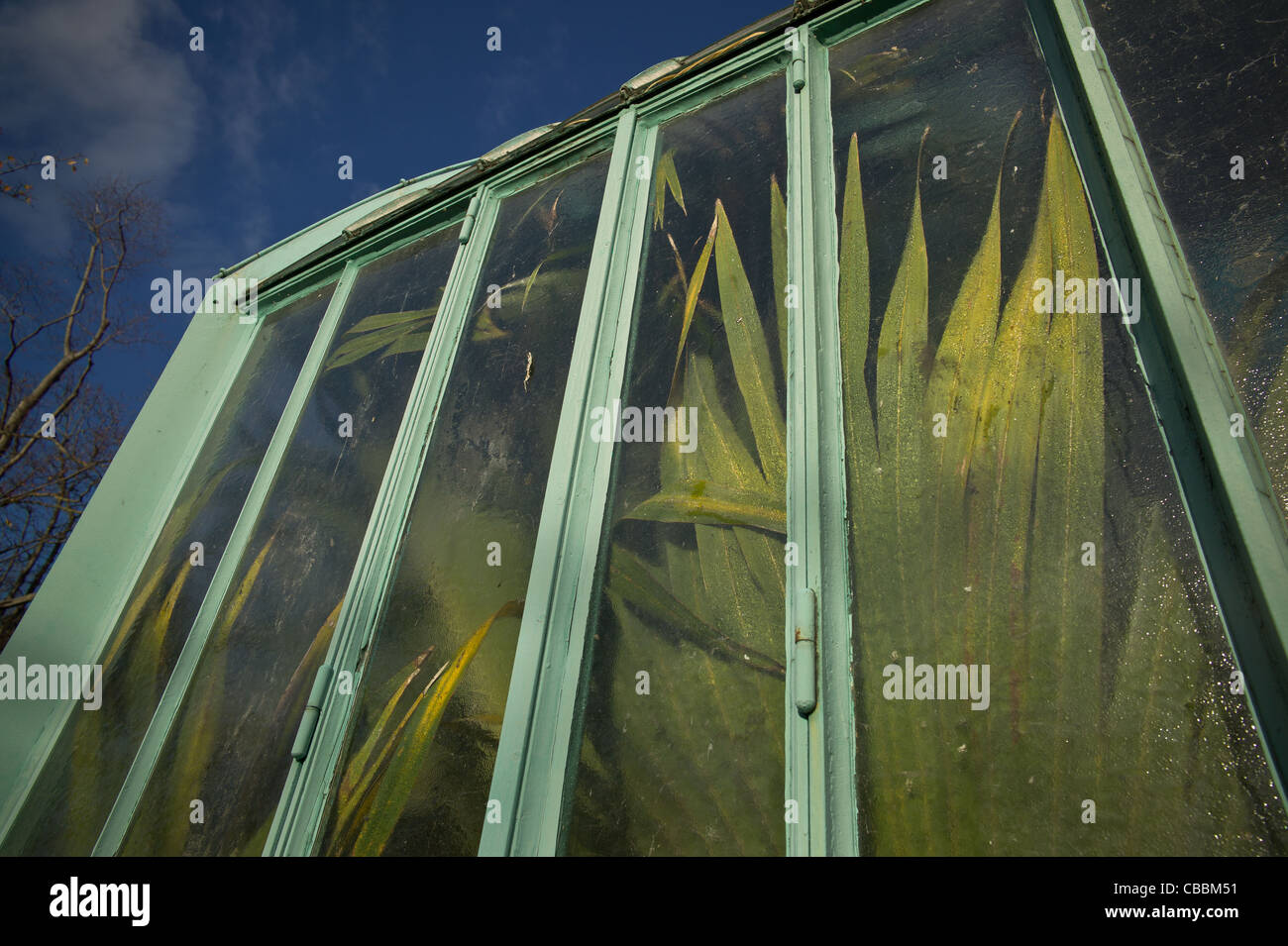 Choking plant hi-res stock photography and images - Alamy