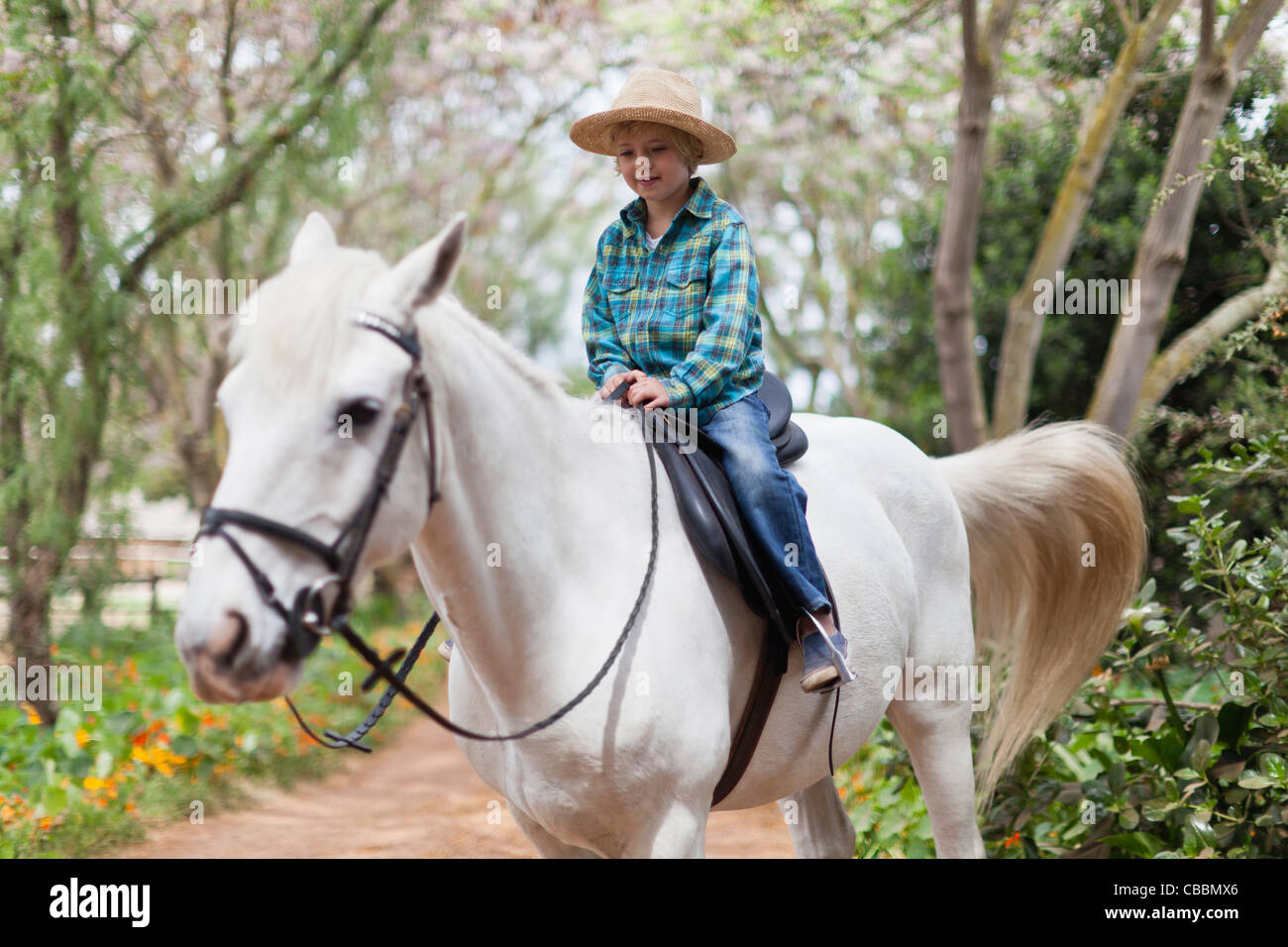 Smiling boy riding horse in park Stock Photo - Alamy