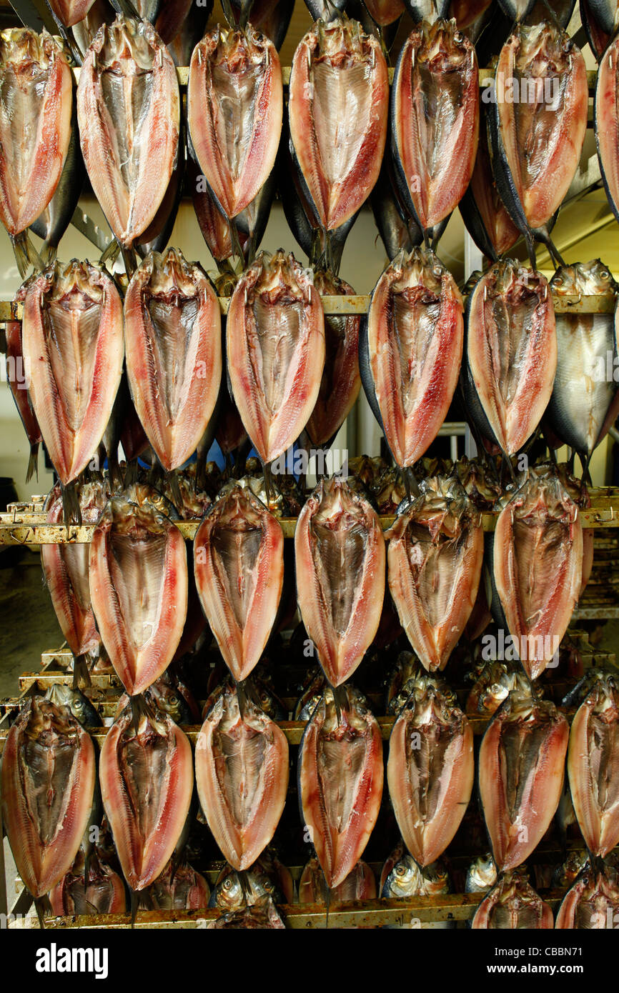 Tenterhooks High Resolution Stock Photography and Images - Alamy