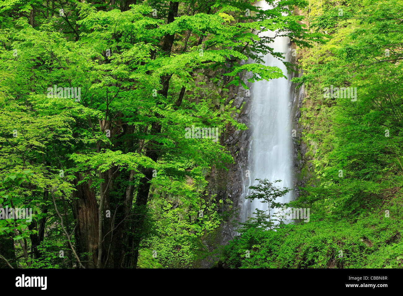 Amedaki waterfall hi-res stock photography and images - Alamy