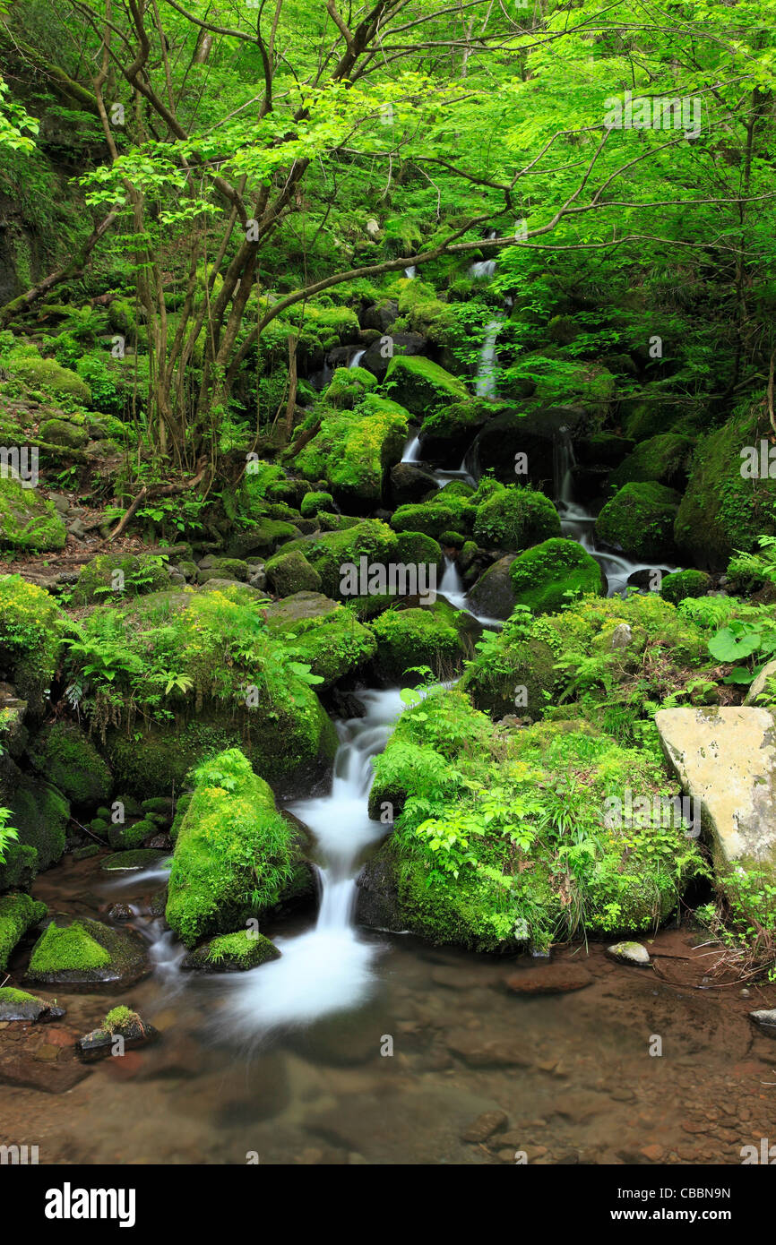 Amedaki waterfall hi-res stock photography and images - Alamy