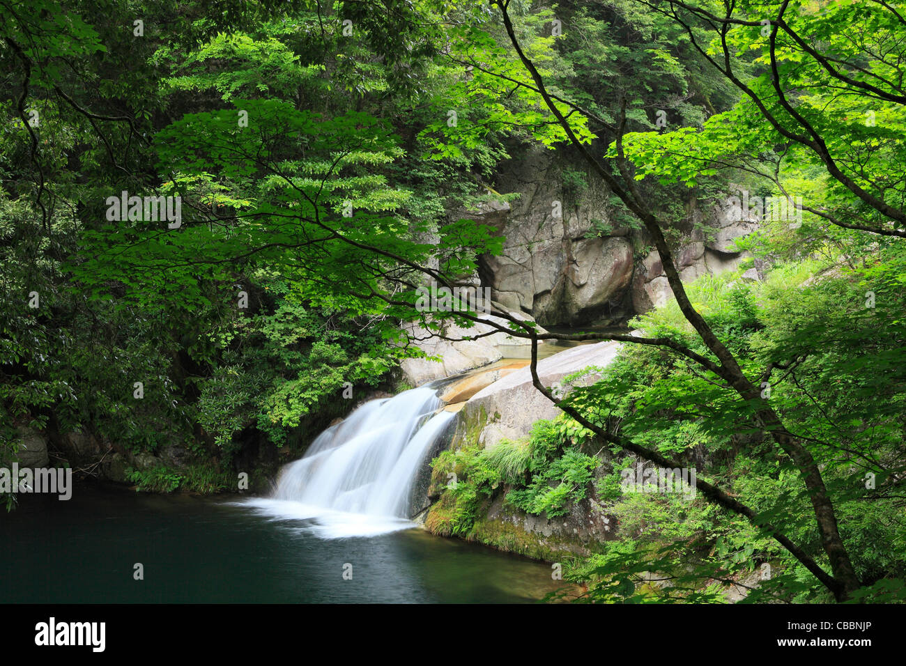 Misaki japan hi-res stock photography and images - Alamy