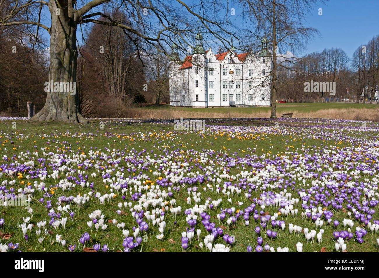 Castle of Ahrensburg in springtime Stock Photo - Alamy