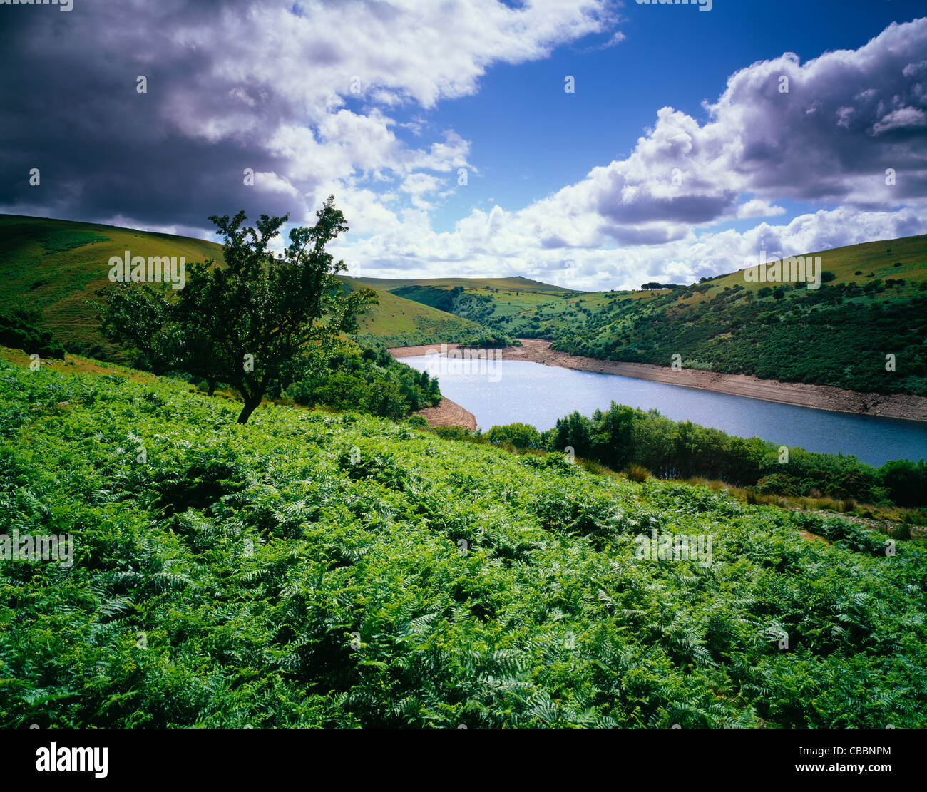 Meldon Reservoir from Okehampton Common in Dartmoor National Park near ...