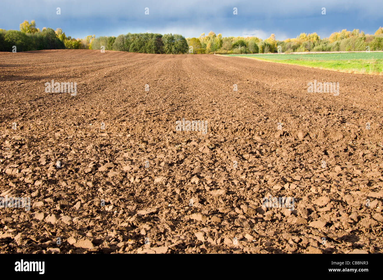 Freshly plowed agricultural field surrounded by forest Stock Photo - Alamy