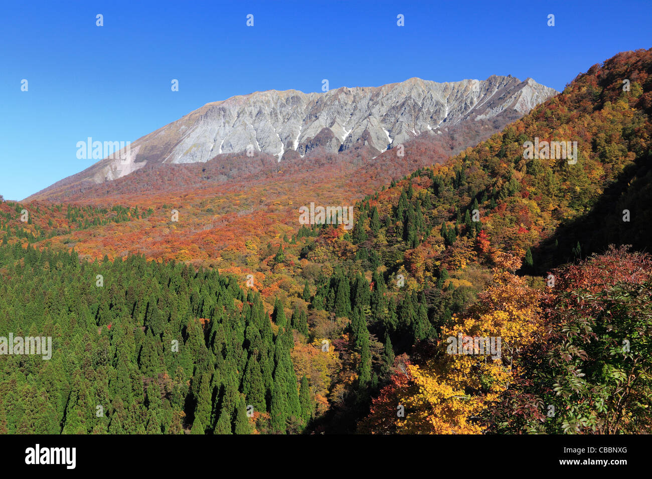 Autumn Leaves at Mount Daisen, Kofu, Tottori, Japan Stock Photo - Alamy