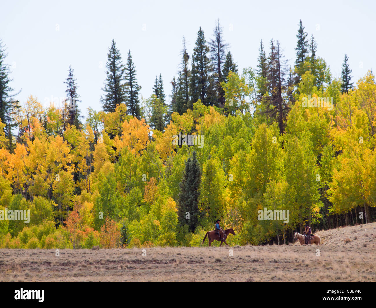 Two cowboys after long day of work on the ranch in Colorado Stock Photo ...