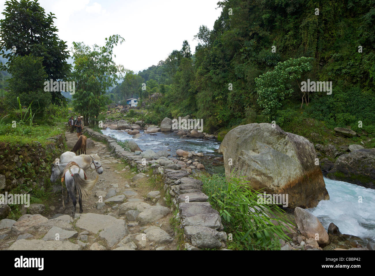 Bhurungdi river valley between Birethanti and Ulleri in the Annapurna ...