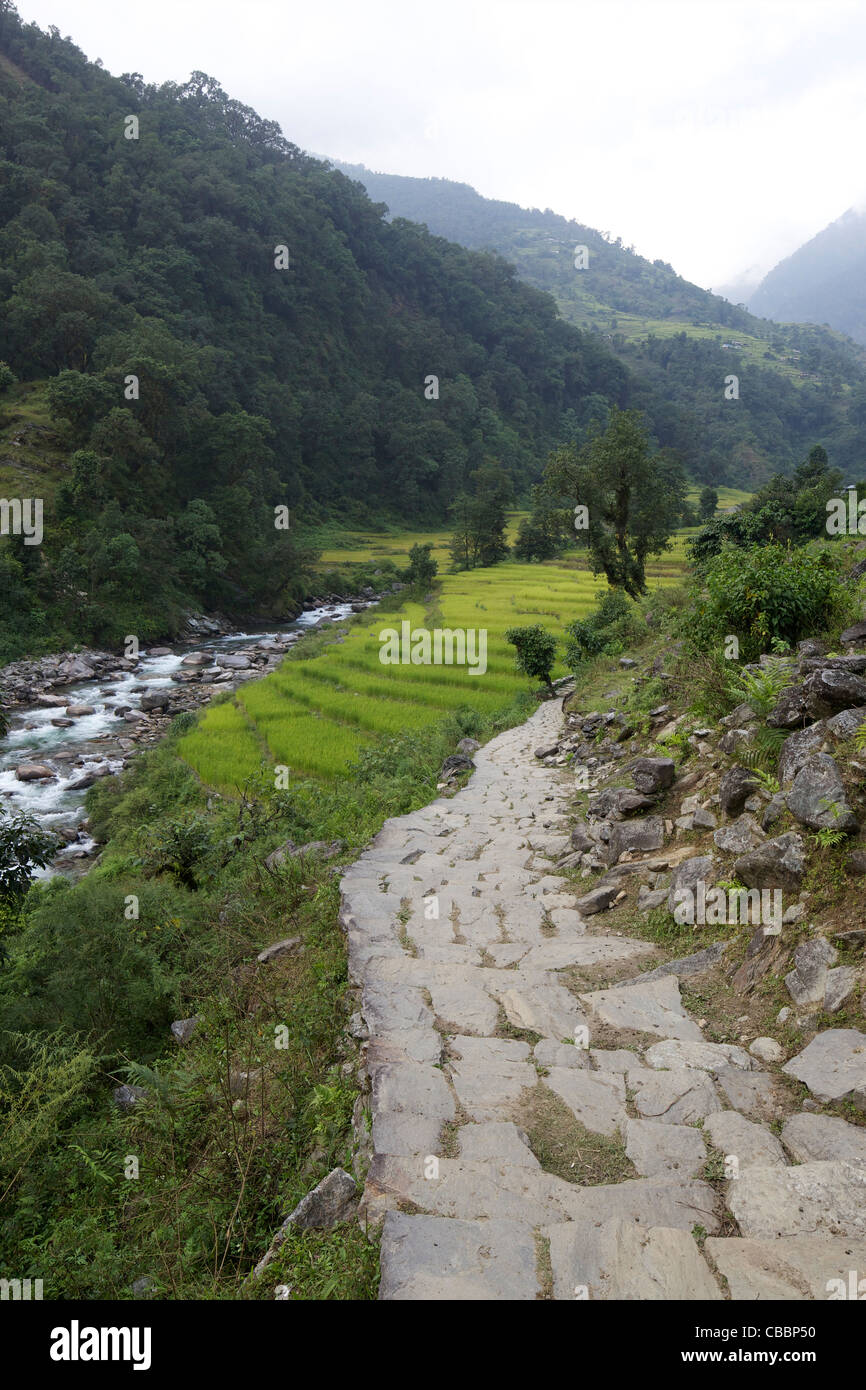 Modi River valley, near Ulleri, Annapurna Sanctuary Region, Himalayas ...